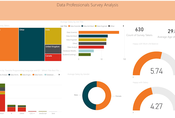Analyze and visualize your data using power bi, excel, or python by Milembekwilasa | Fiverr